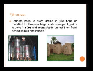 Crop prodiction Ch-1 | PDF | Agriculture | Industries