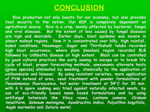 My Mphil Power Point Presentation | PPT