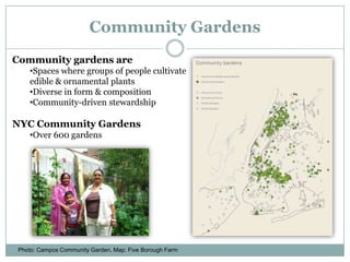 New York City Community Gardens Cultivating Local Resilience Post-Sandy ...