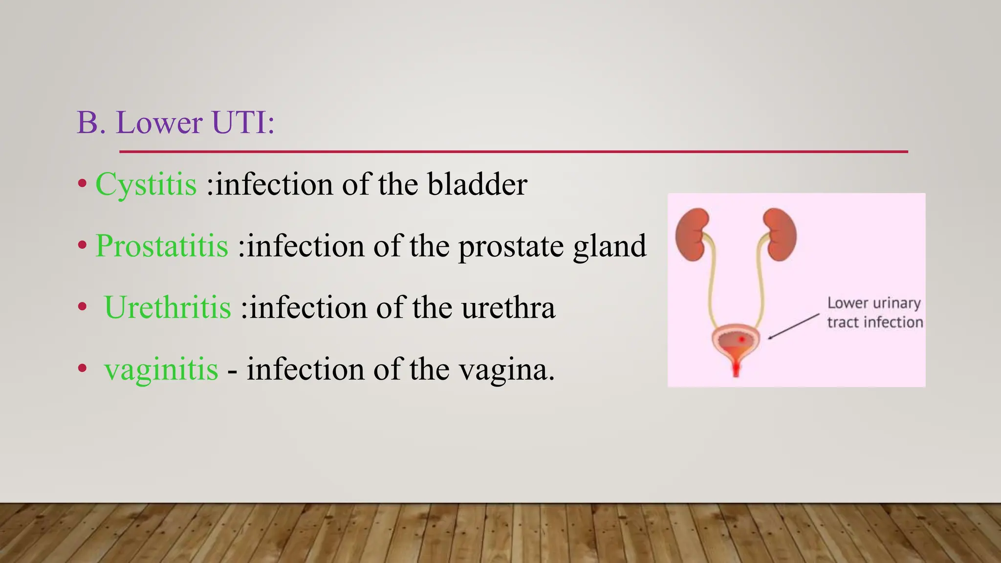 Urinary tract infections-(UTI) pptx slide share | PPT