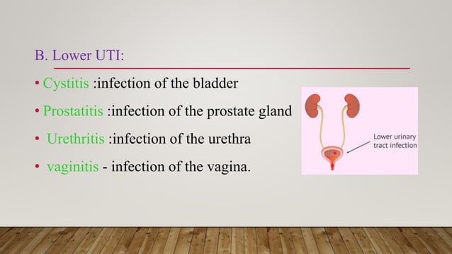 Urinary tract infections-(UTI) pptx slide share | PPT