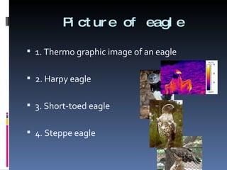 Chanee2eslepresentation | PPT