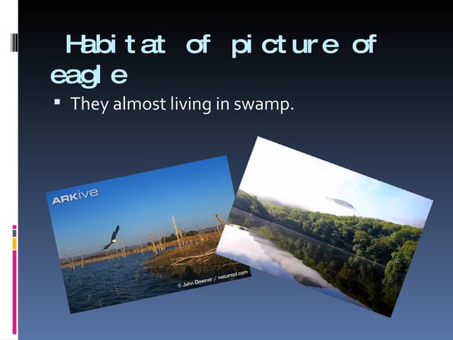 Chanee2eslepresentation | PPT | Free Download