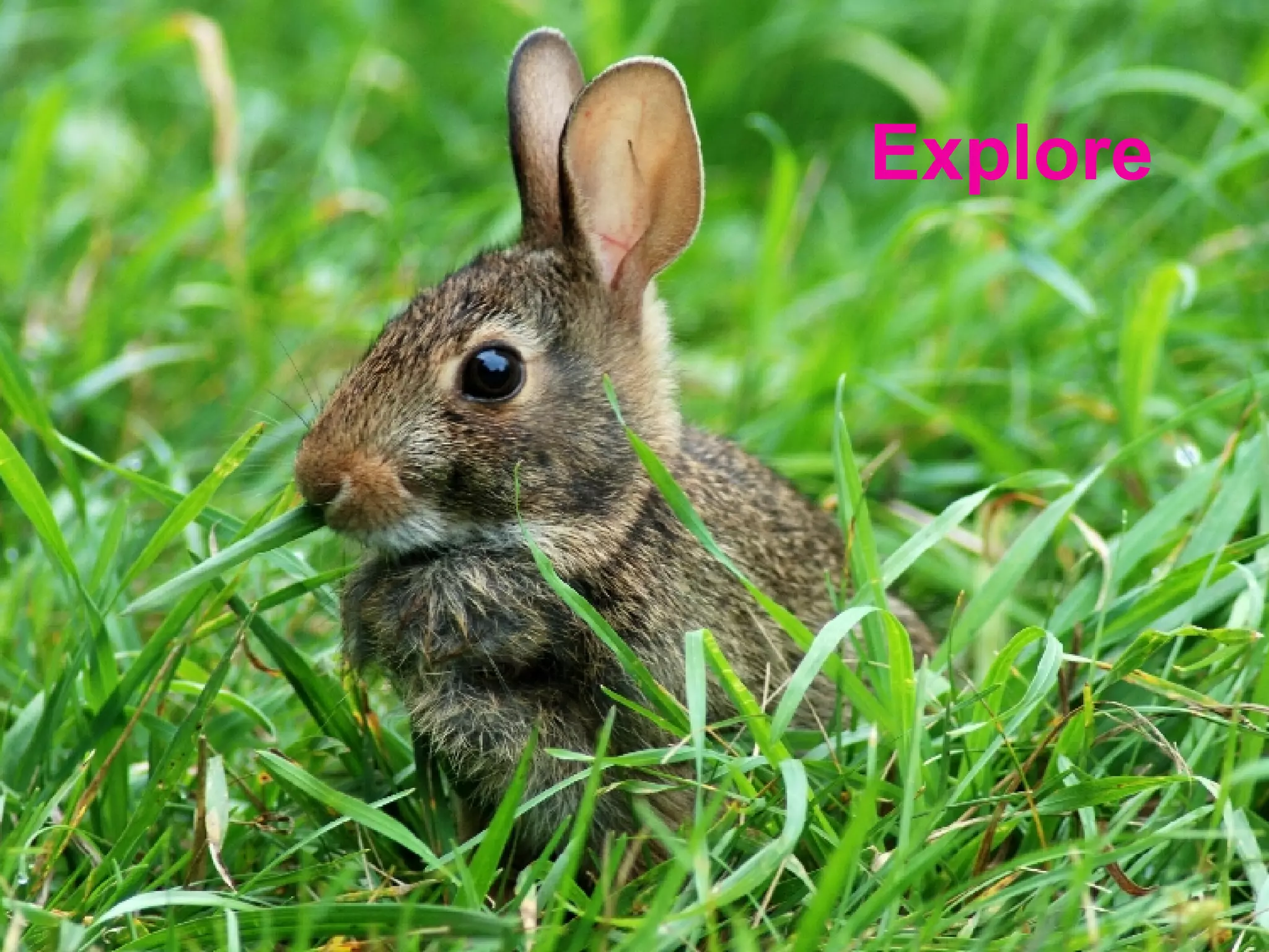 Embracing Change | PPT