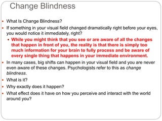 Change Blindness