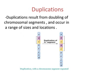 Change in Chromosome structures by Tauqeer Ahmad | PPTX