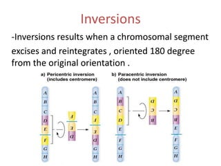 Change in Chromosome structures by Tauqeer Ahmad | PPTX