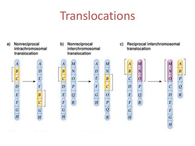 Change in chromosome structure