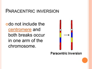 Change in structure of chromosomes ( sy, claire & ropal, roravelle) | PPT