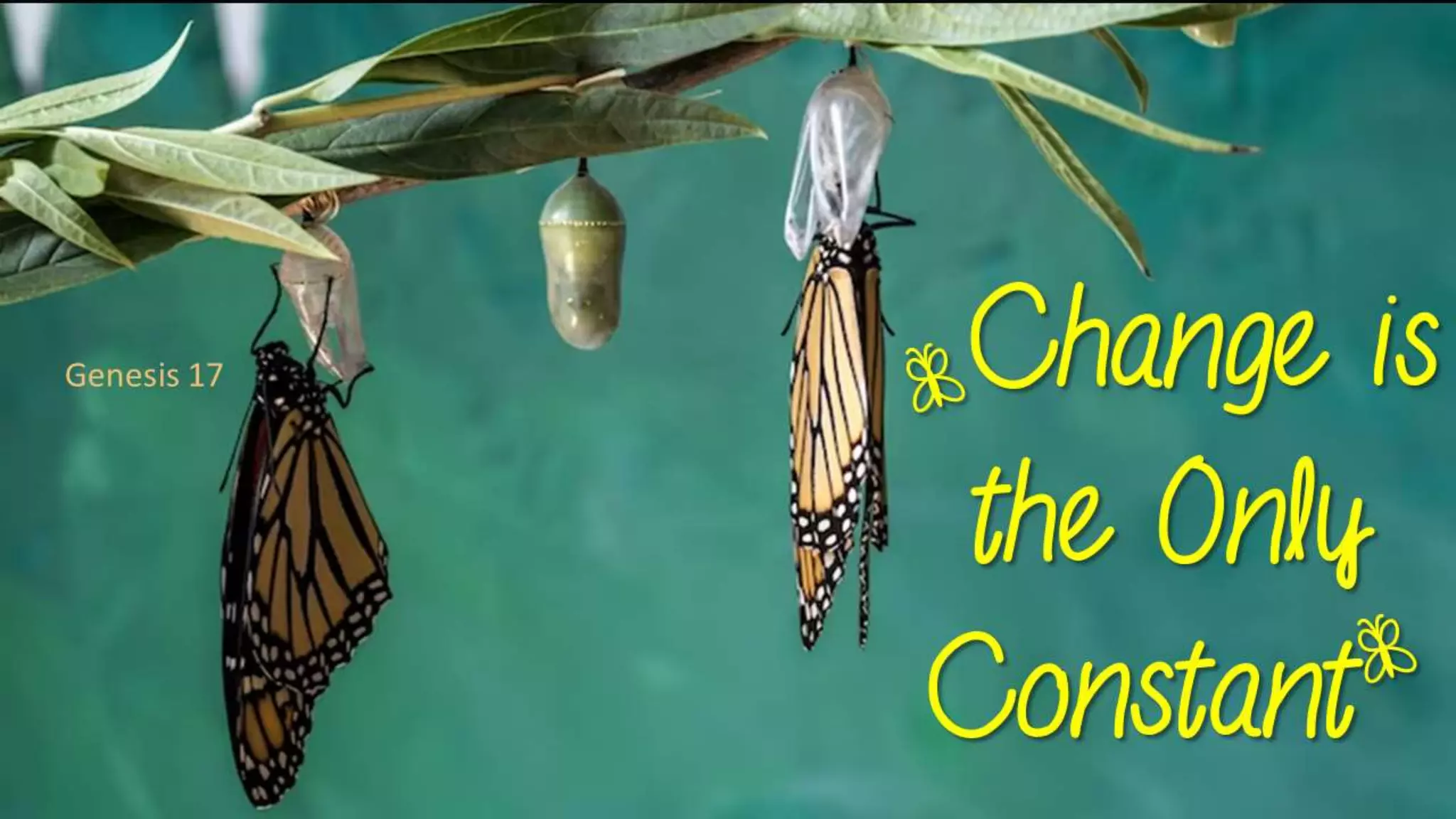 Change is the only constant.pptx