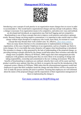 Change Management Essay | PDF