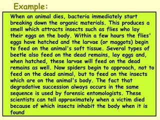 Changes To Ecosystems | PPT