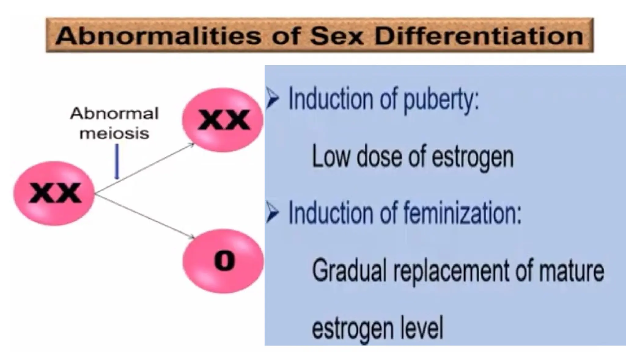 Changes During Pregnancy & Puberty and Sex Determination ...