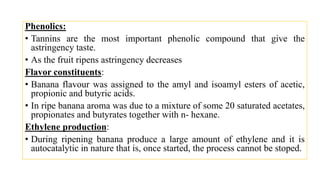 Changes during ripening of banana and sapota | PPTX