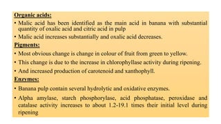 Changes during ripening of banana and sapota | PPTX