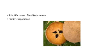 Changes during ripening of banana and sapota | PPTX