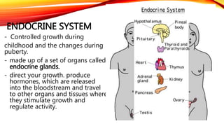 Changes in adolescents | PPTX