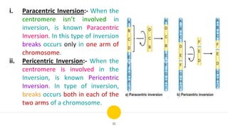 STRUCTURAL CHANGES IN CHROMOSOME: Changes in Chromosomes Structure | PPTX