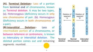 STRUCTURAL CHANGES IN CHROMOSOME: Changes in Chromosomes Structure | PPTX