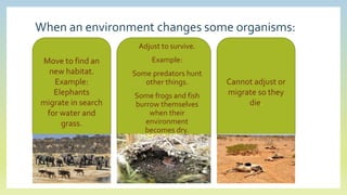 Changes in ecosystem | PPTX