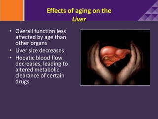 Age-related biological changes | PDF