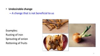 Changes in nature: For class 6 | PDF