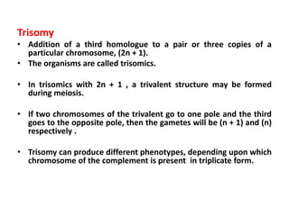 Changes In Number And Structure Of Chromosomes SMG | PPTX