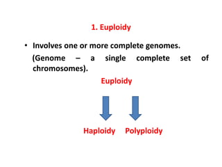 Changes In Number And Structure Of Chromosomes SMG | PPTX