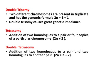 Double Trisomy