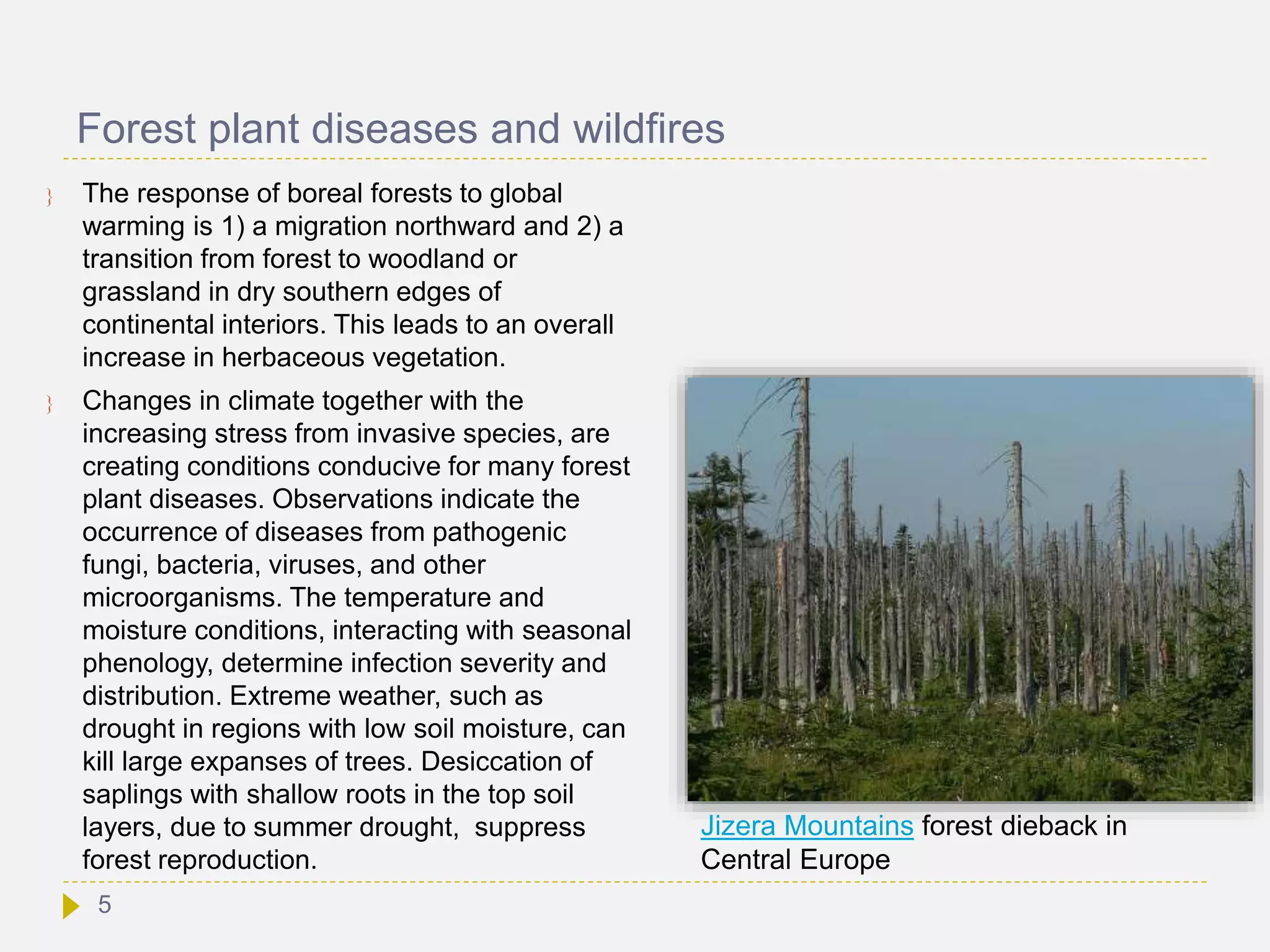 Climate change: Changes in the biosphere | PPTX