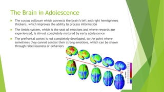Changes through lifespan | PPTX