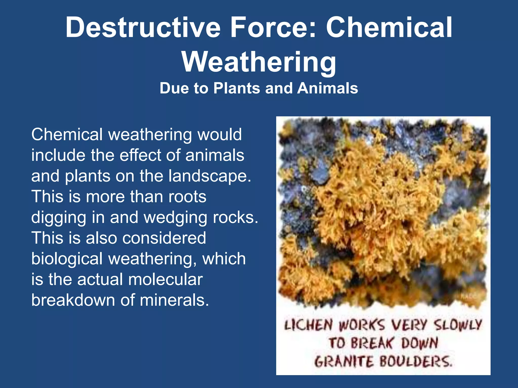 Changes to Surface of Earth Review constructiveanddestructiveforces ...