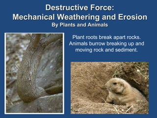 Changes to Surface of Earth Review constructiveanddestructiveforces ...