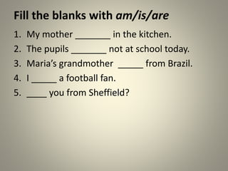 Grammar Exercises | PPTX