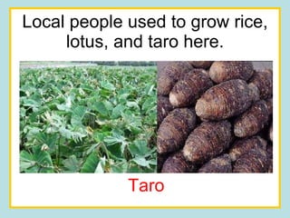 Changing community new | PPT