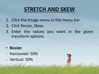 Changing how your picture looks like (Paint Tool) | PPTX