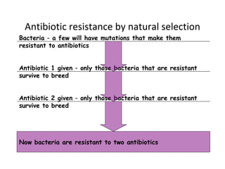 Changing Pathogens | PPT