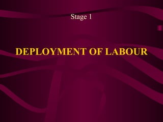 Changing roles of hr professional | PPT