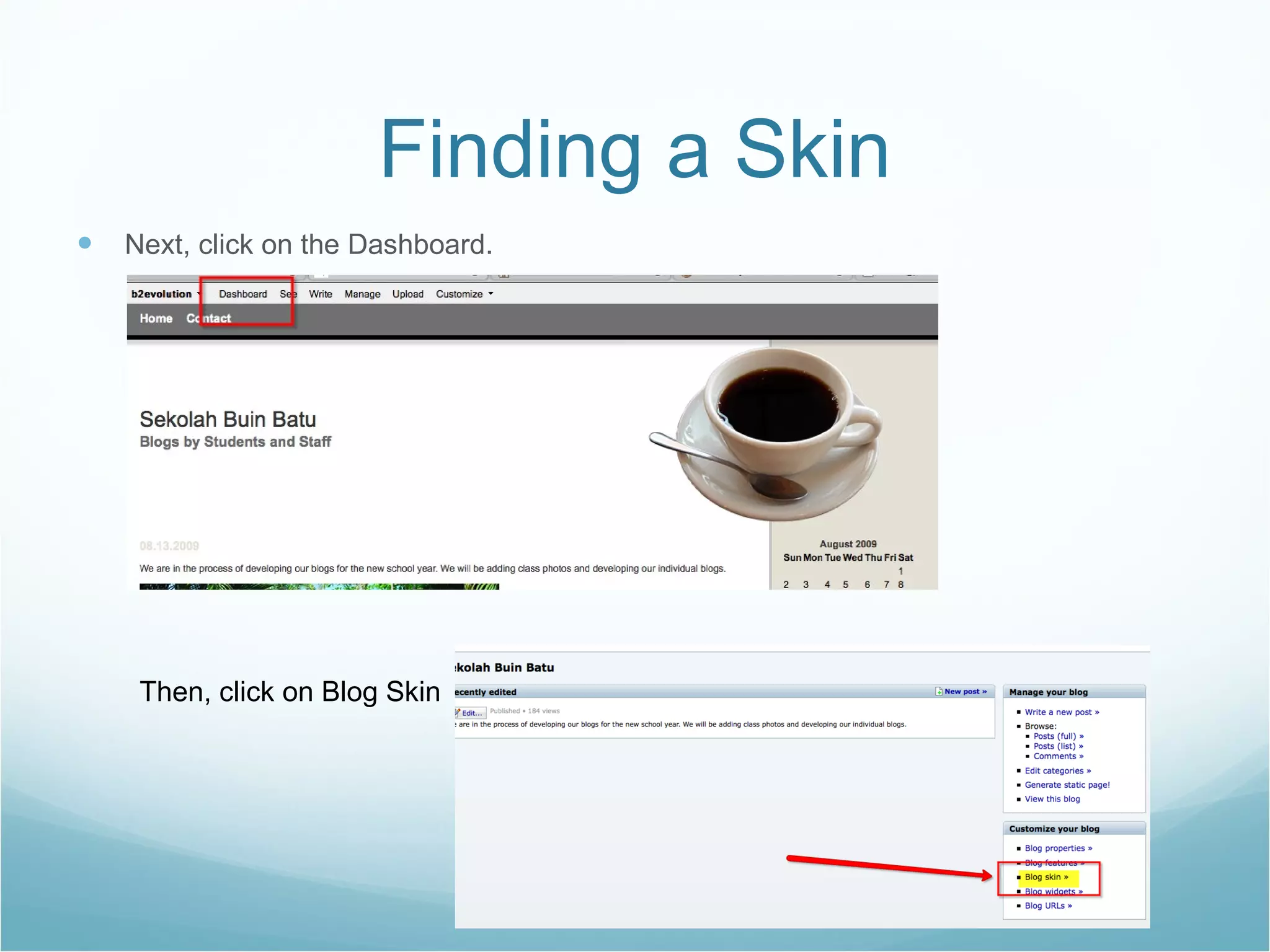 Changing Skins | PPT