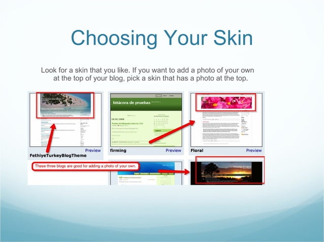 Changing Skins | PPT