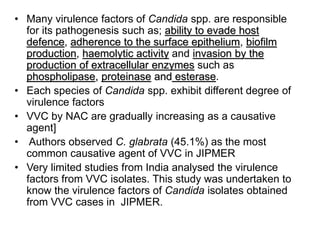 Changing virulence factors among vaginal non albicans candida | PPT