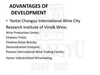 Changyu | PPTX | Alcoholic Beverages | Food & Drink