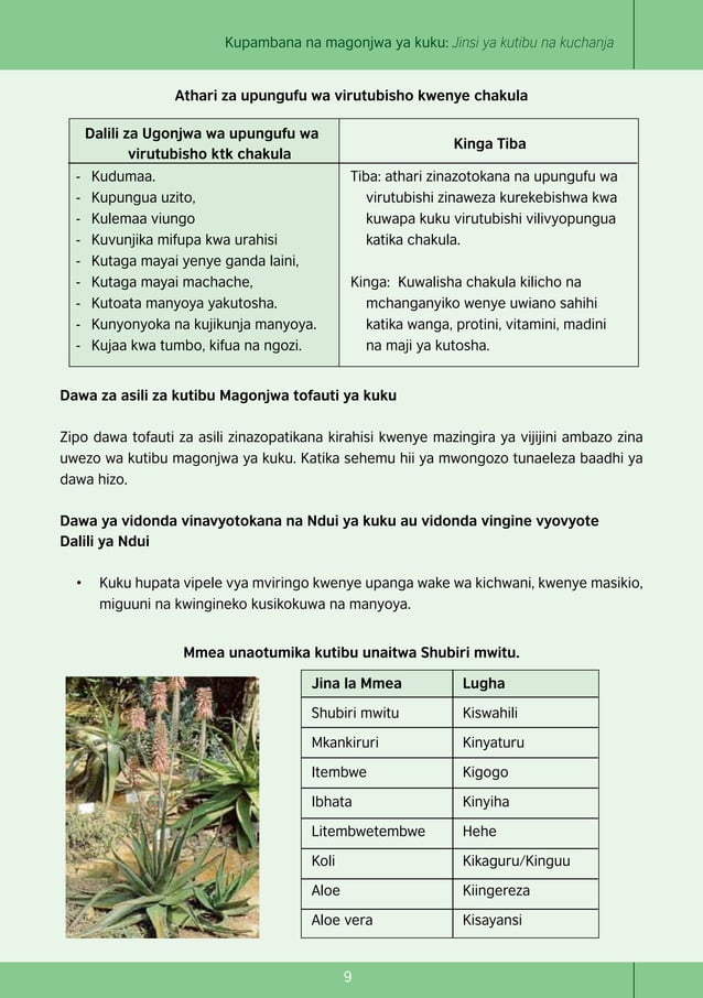 Chanjo na tiba ya magojwa | PDF