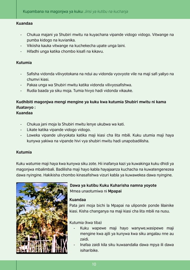 Chanjo na tiba ya magojwa | PDF