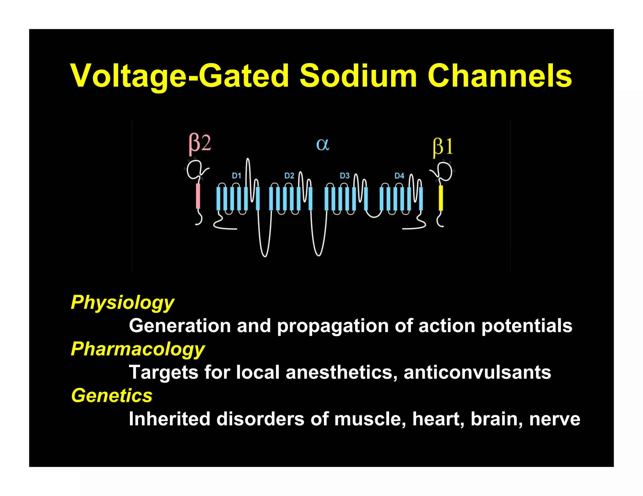 Sodium channelopathy in neurological disorders | PDF