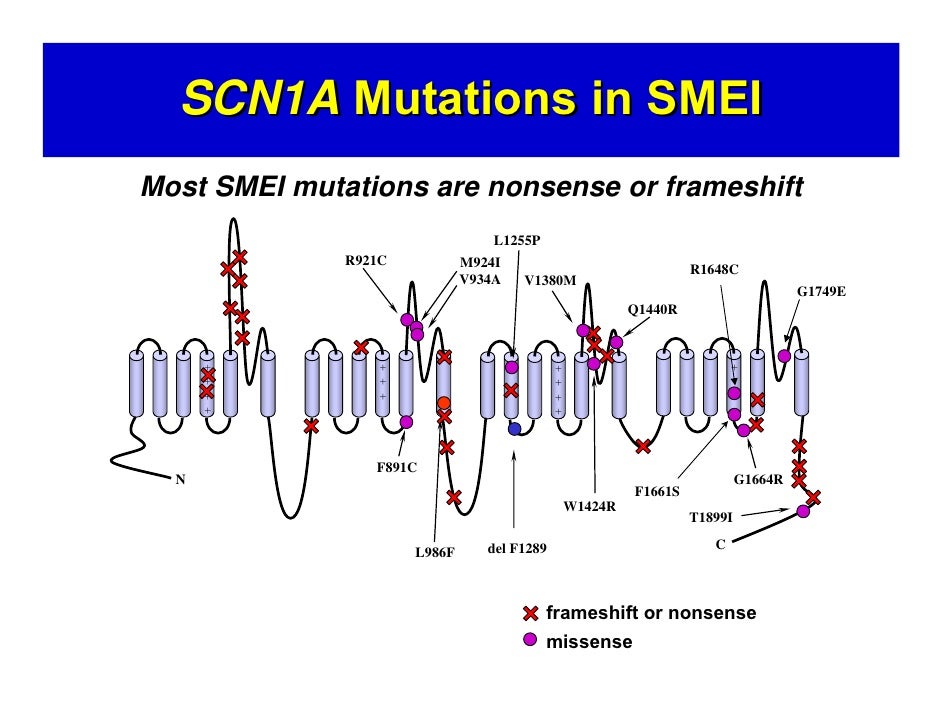 Sodium channelopathy in neurological disorders