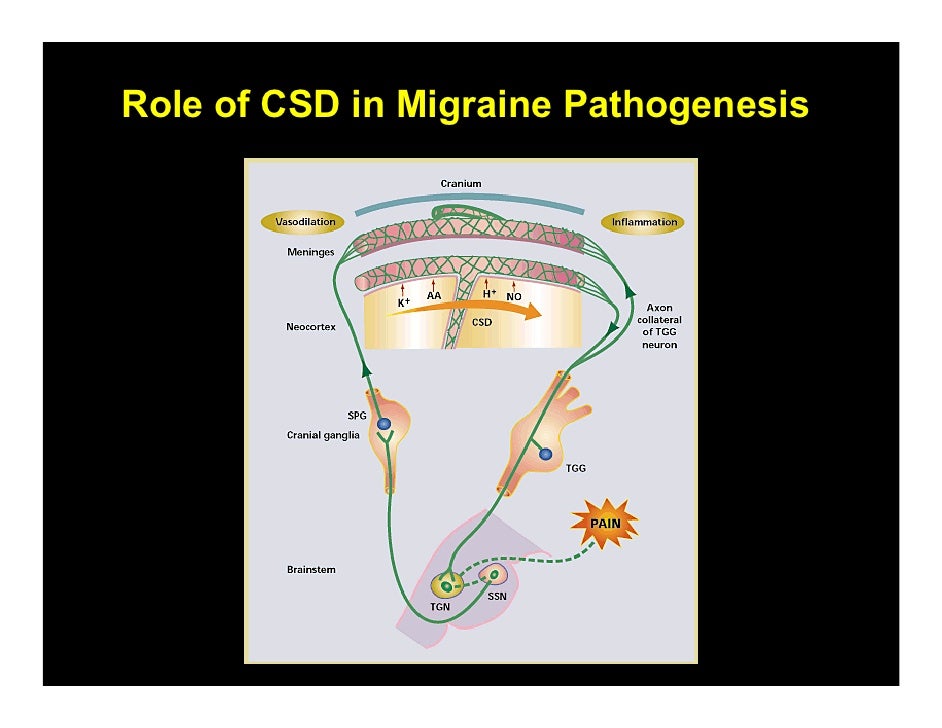 Sodium channelopathy in neurological disorders