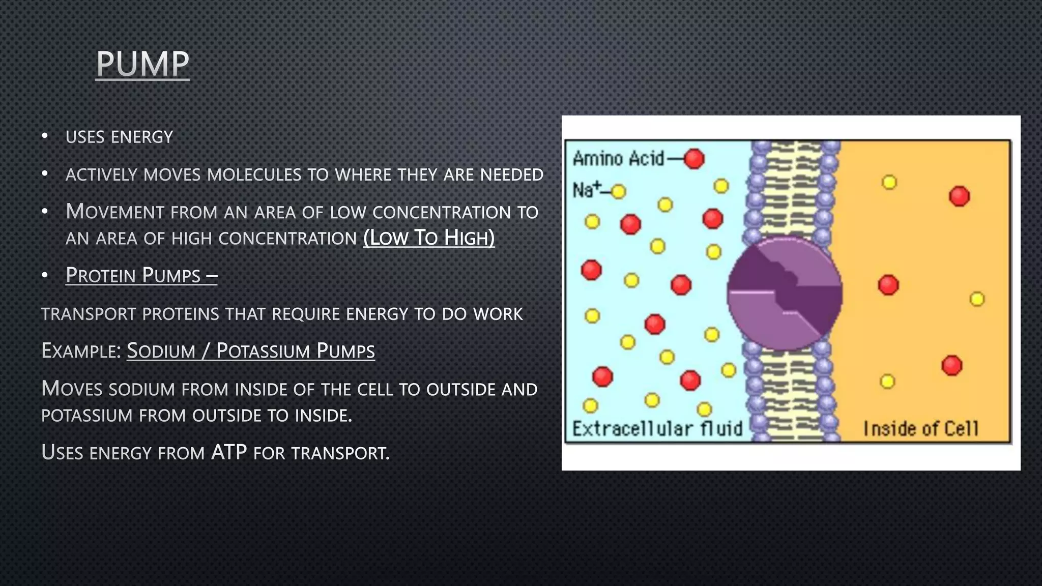 channel and pump.pptx
