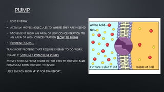 channel and pump.pptx | Chemistry | Science