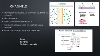 channel and pump.pptx
